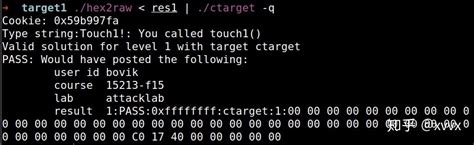 Csapp Lab Attack Lab 知乎