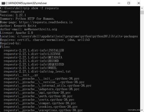 Python中如何在requirements中指定pip版本 Python如何pip Installmob6454cc6441b6的技术博客51cto博客