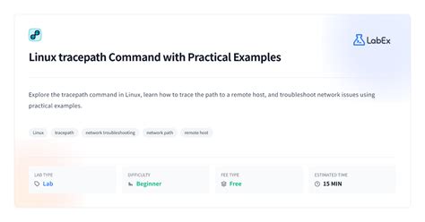 Linux Tracepath Command With Practical Examples Labex
