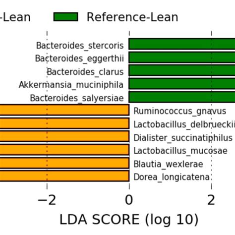 Gut Microbiome Composition In The Predm Ir Group Relative To The Download Scientific Diagram
