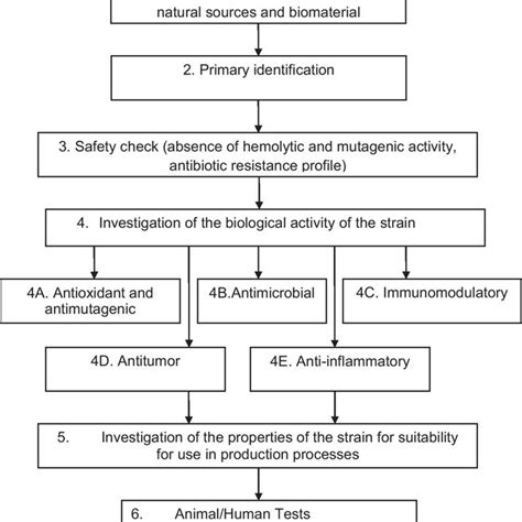 scheme of potential probiotic screening and selection download