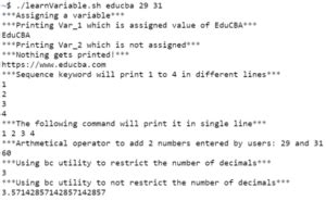 Bash Variable In String Learn The Example Of Bash Variable In String