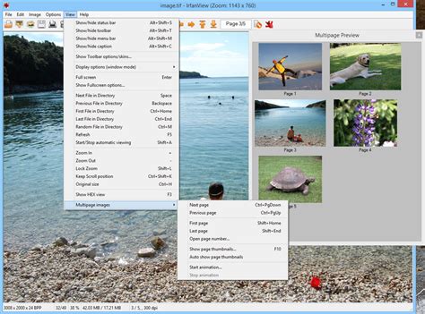 irfanview screenshots