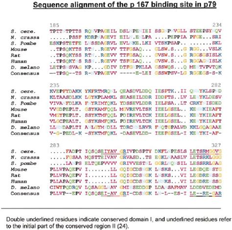 sequence alignment and conservation of the binding domain sequence in