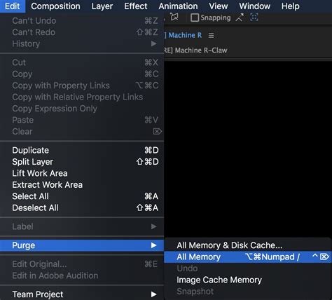 Clear Cache After Effects Fodsupport