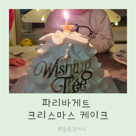 파리바게트 크리스마스 케이크 스노우 위싱트리 실물 후기 크리스마스 분위기 나는 저녁시간 네이버 블로그