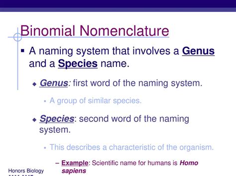 Biological Classification Honors Biology Ppt Download
