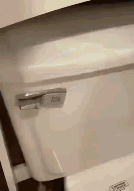 Flush Toilet  Flush Toilet Discover And Share S