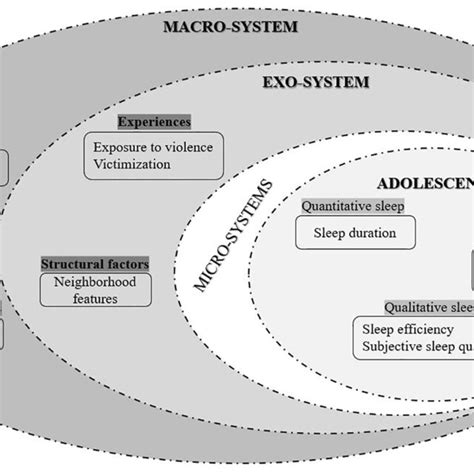 Fronto Striatal Regions Of Interest Rois Abbreviations Nacc