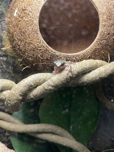 Shes All Grown Up 🥹 Rfrogs Shes All Grown Up 🥹 Rfrogs