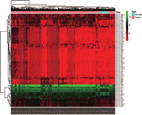 The Basic Heatmap Of De Mirna Expression In Ptc In Total 75 De Mirnas