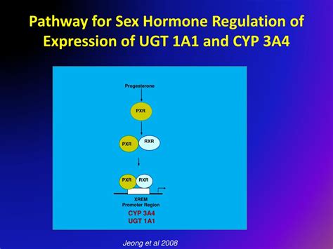 Ppt Labetalol Pharmacokinetics In Hypertension During Pregnancy
