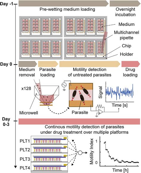 Operation Of The Automated Highly Parallelized Impedance Based Hpi
