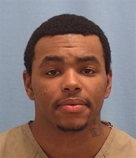 Drose Regretful Rchiraqology