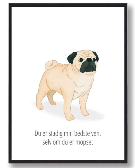 Hundeplakat Med Mops Bedste Ven