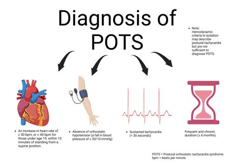 Choices And Challenges With Drug Therapy In Postural Orthostatic