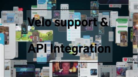develop your wix website with wix velo a database and wix code by