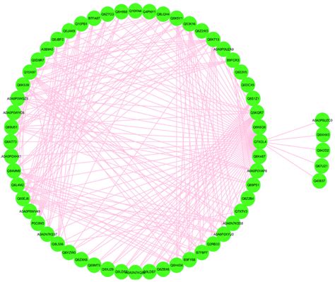 String Predicted Functional Network Of Differentially Accumulated