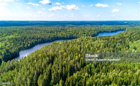 핀란드의 화창한 여름날 푸른 호수와 소나무 숲의 조감도 0명에 대한 스톡 사진 및 기타 이미지 0명 강 경관 Istock