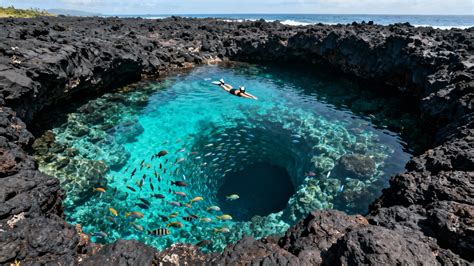 8 Unforgettable Spots For Hawaii Big Island Best Snorkeling In 2026