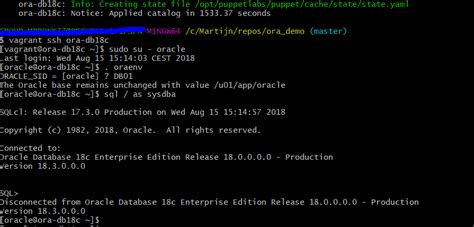 Getting Started With Enterprise Modules Oraprofile To Install Oracle 18c