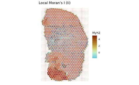 Spatial Visium Exploratory Data Analysis • Voyager