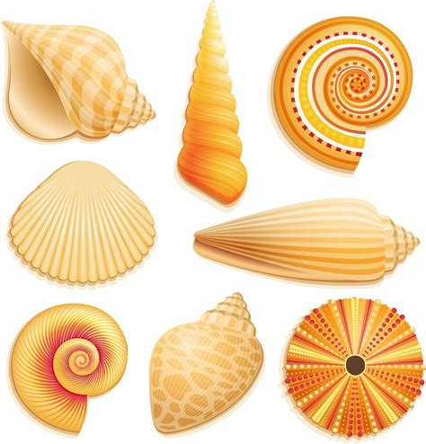 Pin On Moana Seashell Clipart Diy Cake Topper Birthday Sea Shells