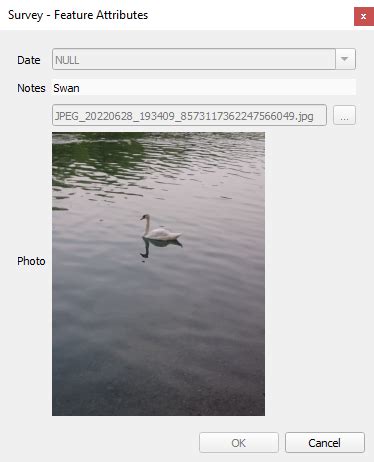 Capturing Photos Mergin Maps