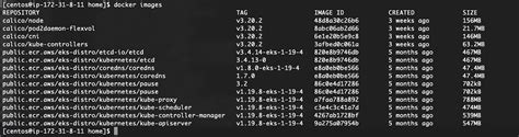 using amazon s kubernetes distribution everywhere with amazon eks distro