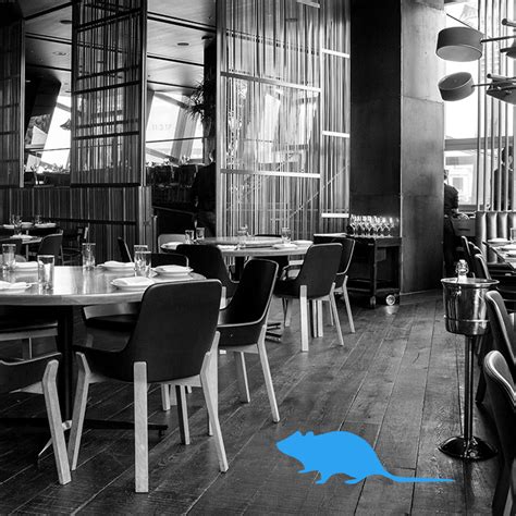 Restaurant Pest Control Uk Restaurant Pest Removal Specialists