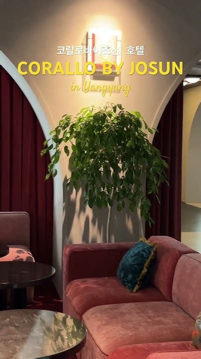 코랄로바이조선 양양호텔 양양호캉스 Youtube