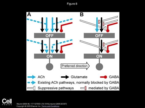 Directional Selectivity Is Formed At Multiple Levels By Laterally Offset Inhibition In The