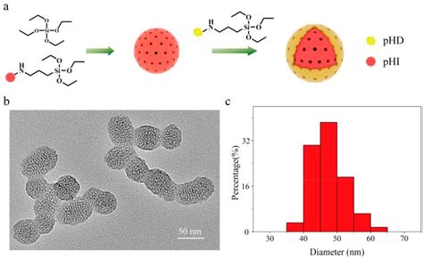 Chemosensors Mdpi On Linkedin Communication Recommendation Ratiometric Nanosensors Ph