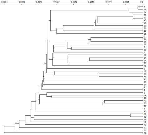 Fuzzy Cluster Tree For Species Classification Download Scientific