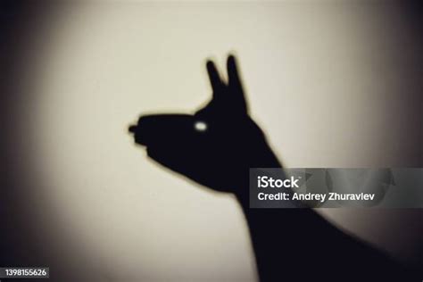 하얀 벽에 손전등의 야간 조명에서 손의 그림자 램프의 빛에서 손을 댈 남자의 어두운 실루엣 그늘에 대한 스톡 사진 및 기타 이미지 Istock