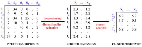 Multi Objective Genetic Algorithm For Cluster Analysis Of Single Cell Transcriptomes