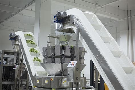 Automatic Secondary Feeding Weighing Packing Machine Packing Machine