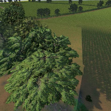 Vegetation Shadows Rendering Out Of Order In 360 Stereo Capture · Issue