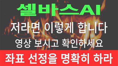 셀바스ai 나라면 이렇게 한다영상 보시고 확인좌표선정을 명확히 하라 Youtube