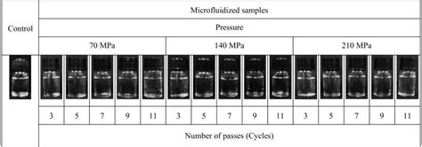Sruthi Shankar On Linkedin Microfluidization Of Tender Coconut Water And Its Impact On Spoilage
