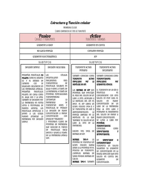Cuadro Comparativo De Tipos De Transporte Celular Pdf Trifosfato De