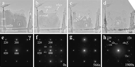 Tem Analysis Of The Superalloy During In Situ Oxidation Aed Bf