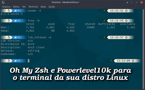 Oh My Zsh E Powerlevel10k Para O Terminal Da Sua Distro Linux