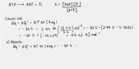 the concentrations of atp adp and pi differ with cell type