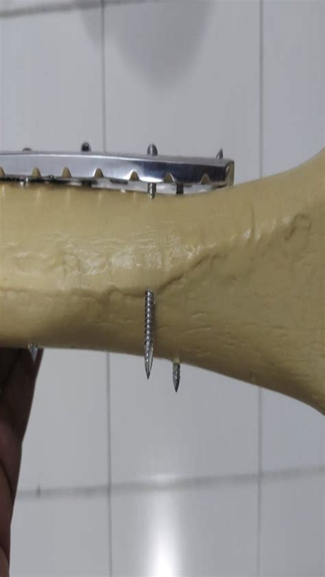 Online Biomedical Engineering Service Engon Technologies Private