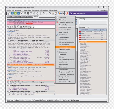 Screenshot Computer Program Line Font Professional Cv Text Computer Computer Program Png