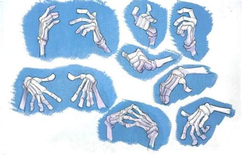 Skeleton Hand Drawing Reference Artofit