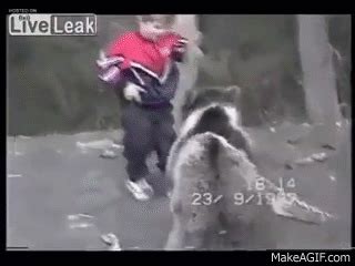 Young Ufc Fighter Khabib Numagomedov Wrestling With A Bear On Make A 