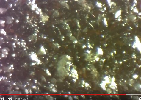 creating a rpi assisted microscope page 2 raspberry pi forums
