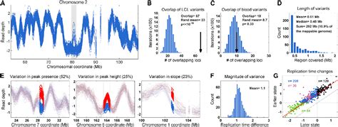 Figure 1 From Genetic Variation In Human Dna Replication Timing